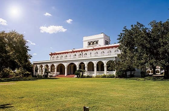 Texas Sized King Ranch Casserole with Texas Sized Taste